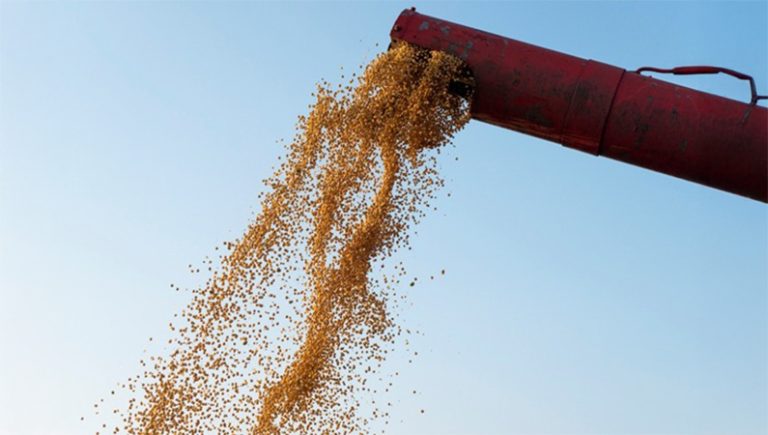 Simplifying Silo Level Monitoring with SEVEN Sensors | Seven Sensor